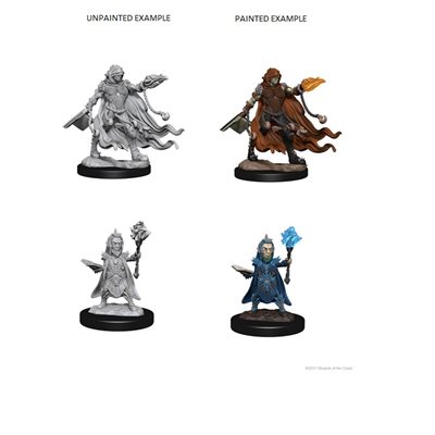 Pathfinder Battles Deep Cuts Unpainted Miniatures: Wave 2: Evil Wizards ...