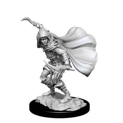 Pathfinder Deep Cuts Unpainted Miniatures: Wave 14: Human Rogue Female (EN)